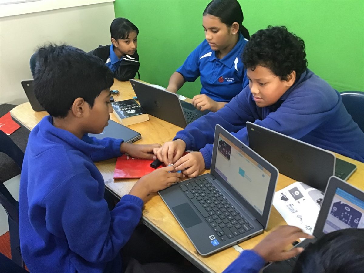 Gallery - Royal Road School