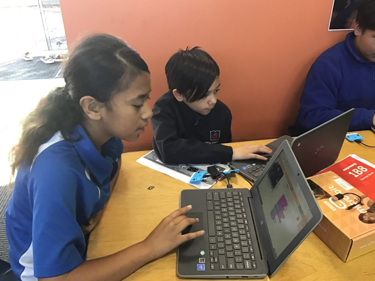 Gallery - Royal Road School