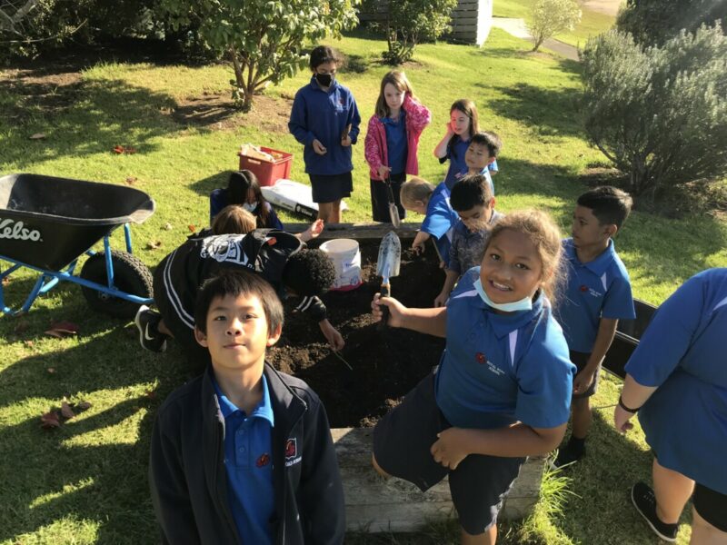 Education for Sustainability - Royal Road School