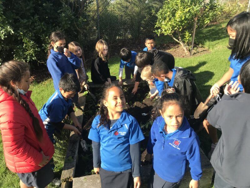 Education for Sustainability - Royal Road School