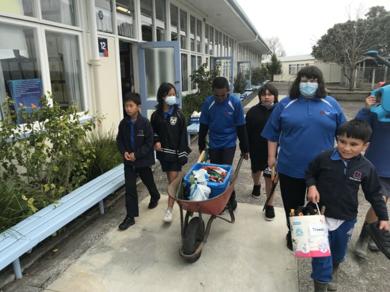 Education for Sustainability - Royal Road School